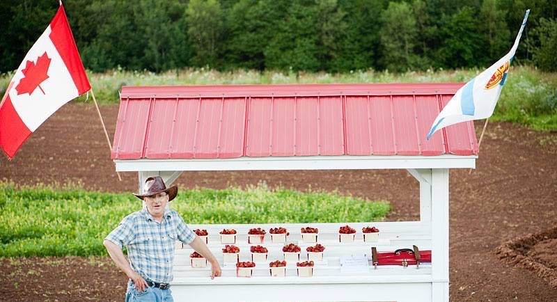 Our Story – WEE Pick U-Pick Strawberries